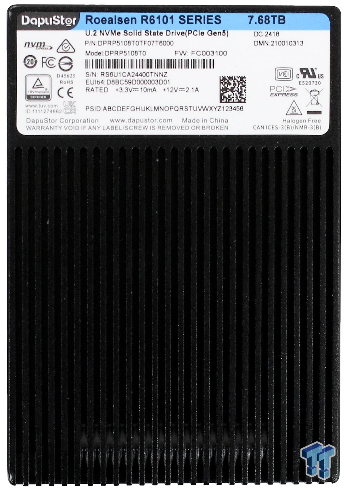 DapuStor Roealsen6 R6101 7.68TB Enterprise SSD Review - Boss of 1-DWPD ...