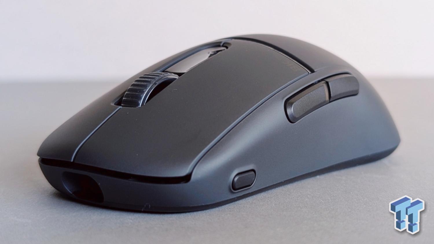 turtle bites mouse in half