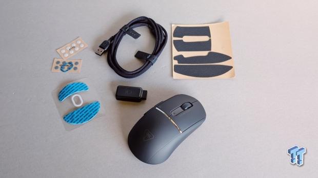 turtle bites mouse in half