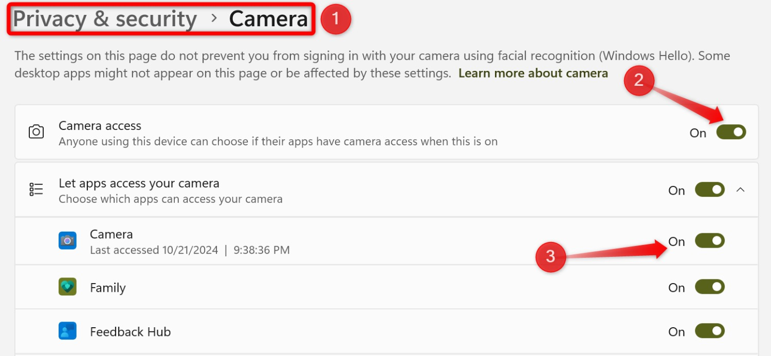 Camera or webcam not working in Windows 11? Try these fixes
