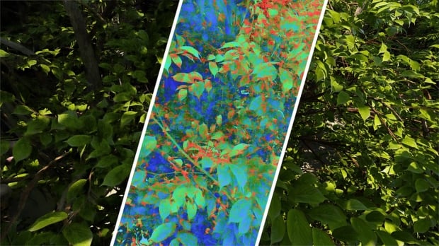 Intel's new tool lets you benchmark DLSS, FSR, and XeSS image quality