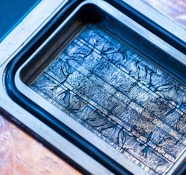 Microsoft announces new microfluid technology breakthrough that helps cool next-gen AI chips