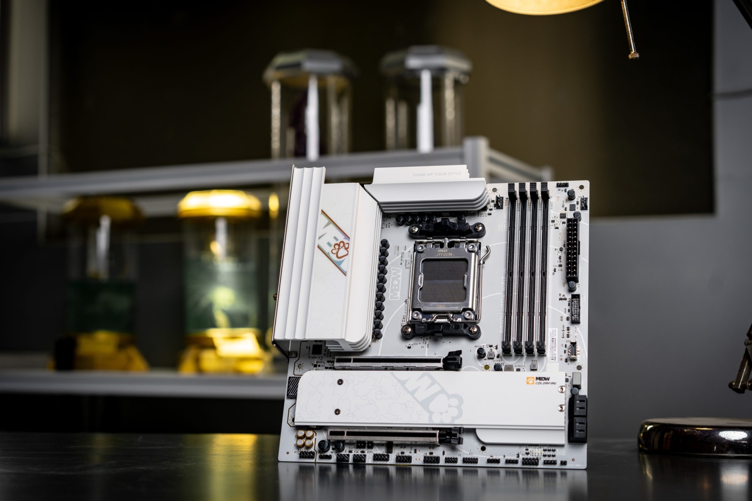 COLORFUL confirms AMD's next-gen Zen 6 CPUs are supported on its latest ...