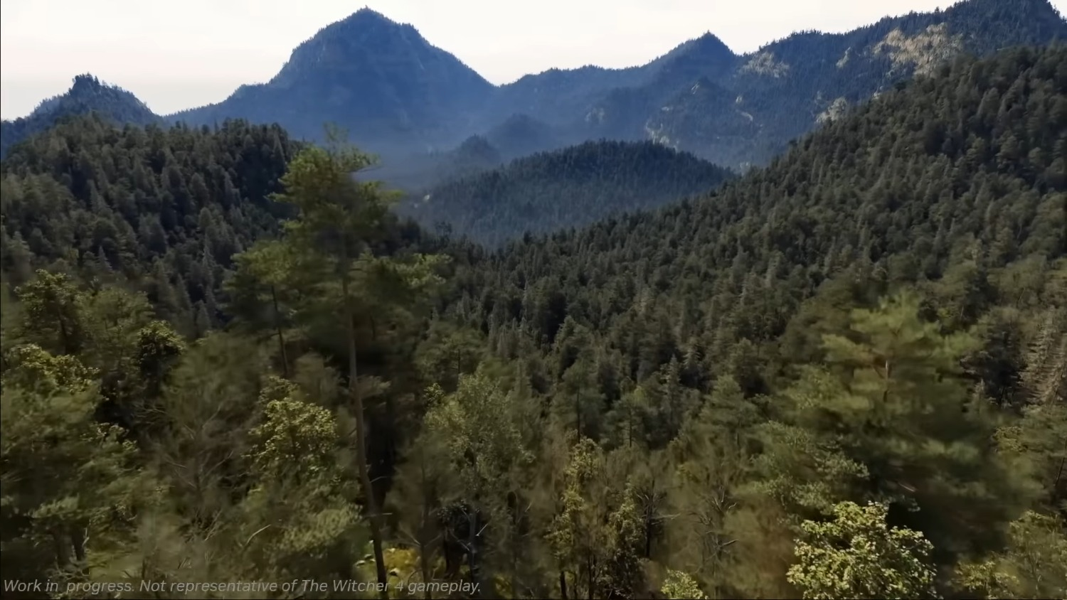 Witcher 4 RTX Mega Geometry Foliage demo runs at almost 60 FPS on an ...