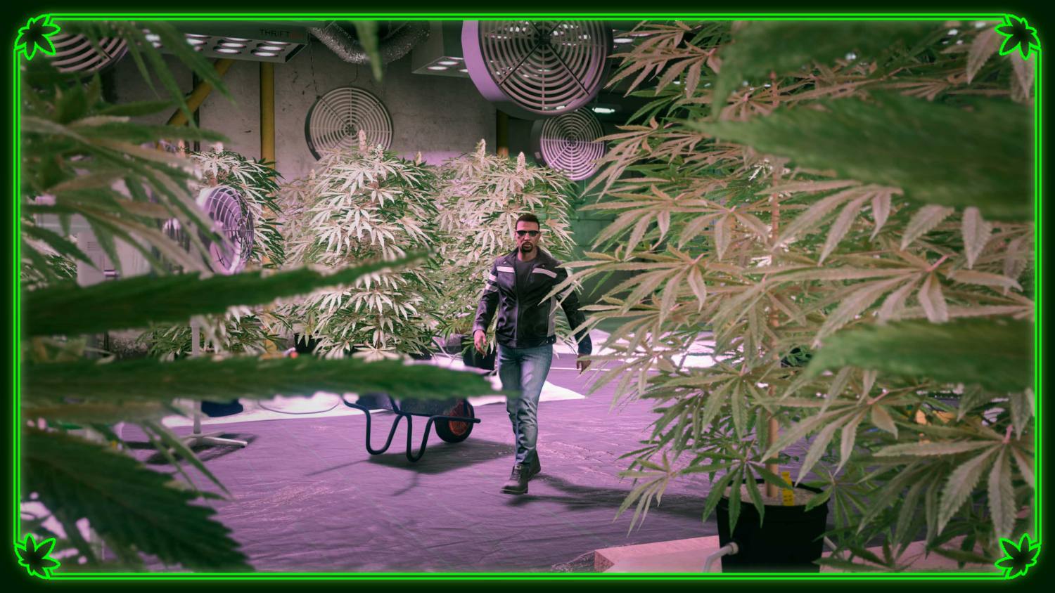 GTA Online celebrates 420 with hilarious psychedelic Stoner Survival ...