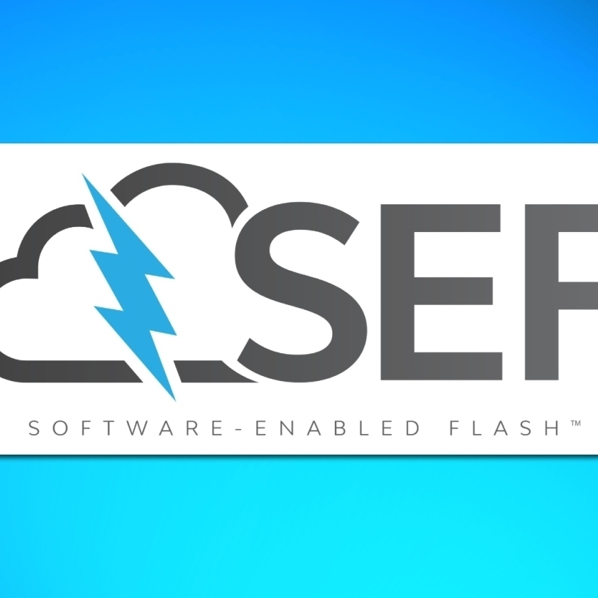 Flash Software Logo