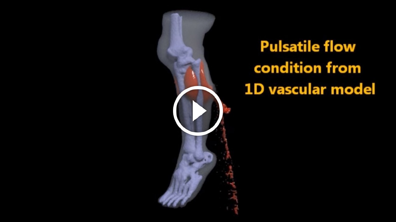 University of California develops valuable injury training simulation