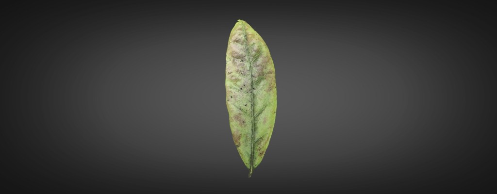 SpeedTree 8 to be shown at GDC 2017 on Amazon Lumberyard