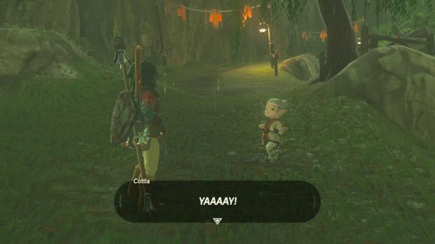 Zelda: Breath of the Wild's NPCs are so lovable
