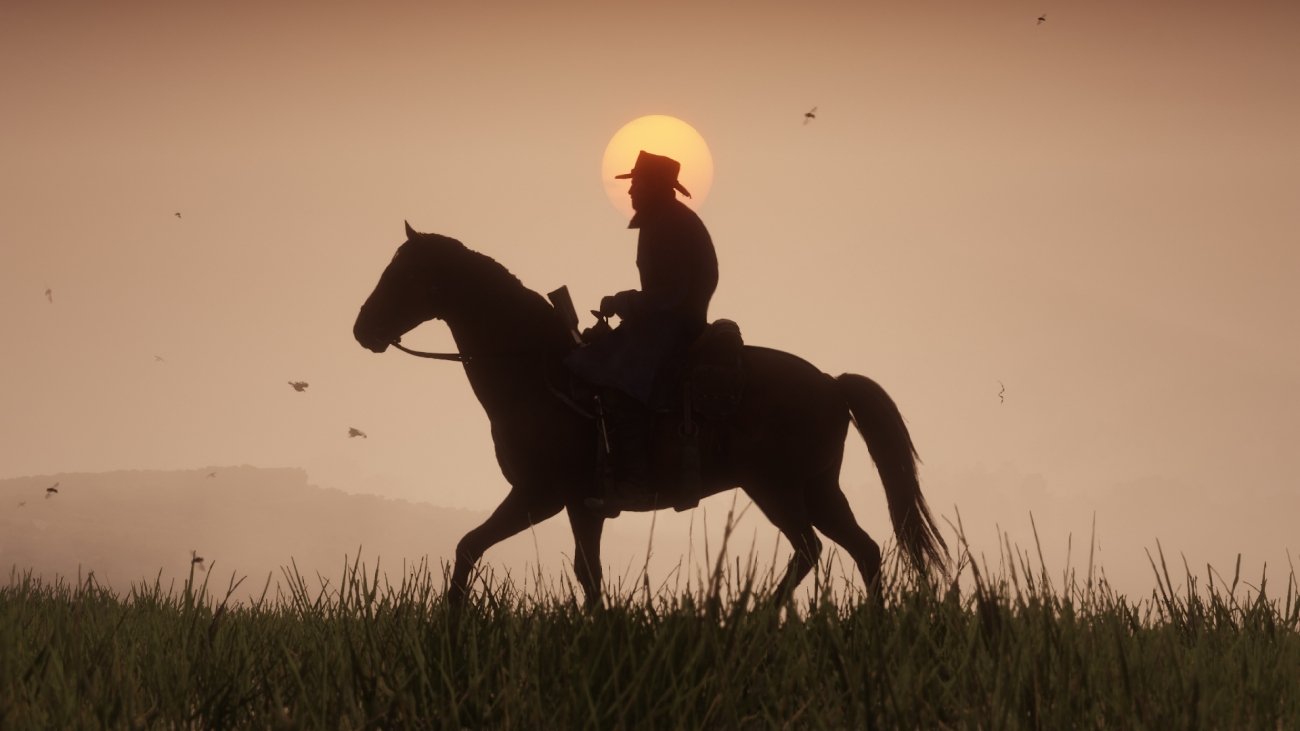 Red Dead Redemption 2 ships on two discs