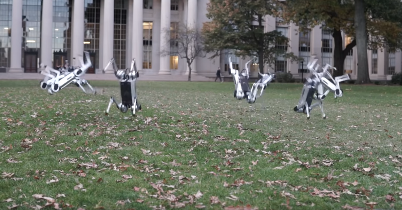 Here's a herd of MIT's Mini Cheetah robots synchronise back-flipping