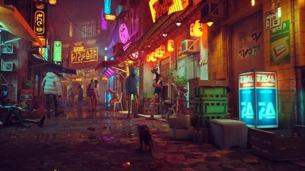 Stray: a new 'cat simulator' game, purring for release in 2021