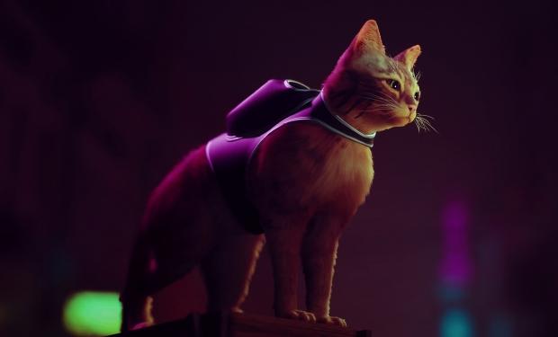 Stray: a new 'cat simulator' game, purring for release in 2021