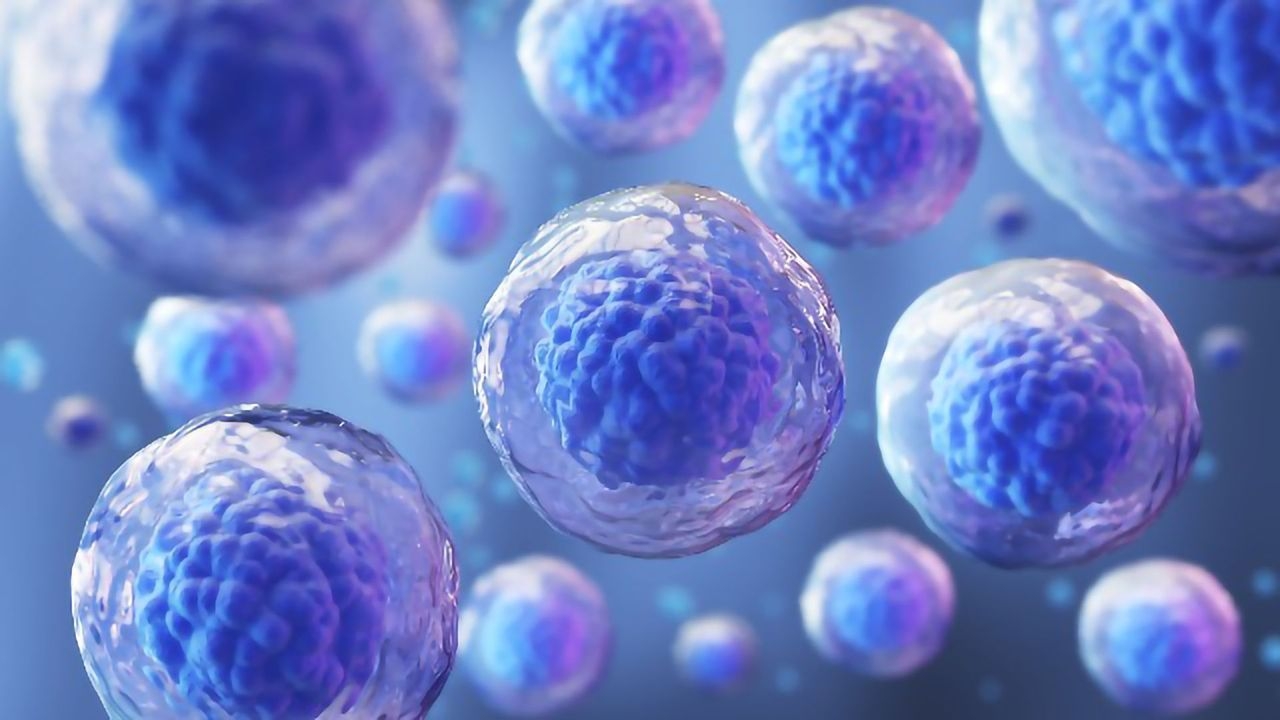 A brand-new type of cell hidden in humans was just discovered