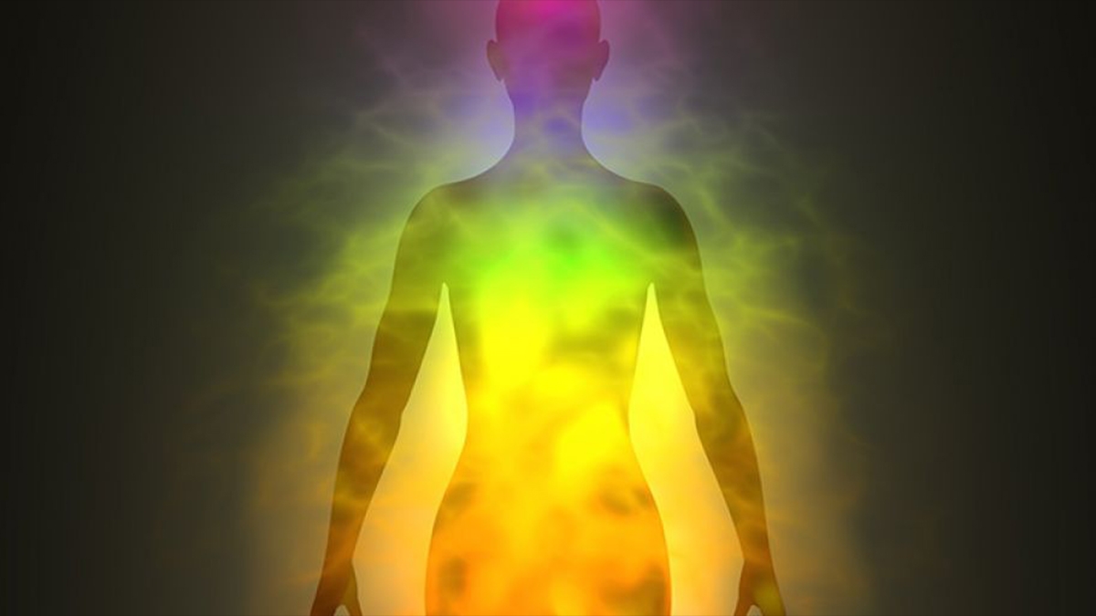 Humans found to generate a 'field' of reactive chemicals around them