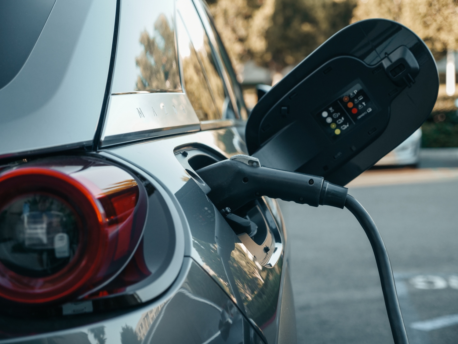EV sales still rising, but more needs to be done to reach net-zero