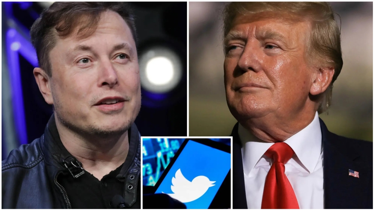 Elon Musk announces Twitter council to moderate content and reinstate ...