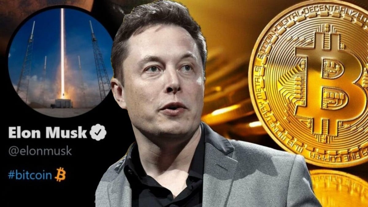 Elon Musk comments on Bitcoin price collapse, says it 'will make it'
