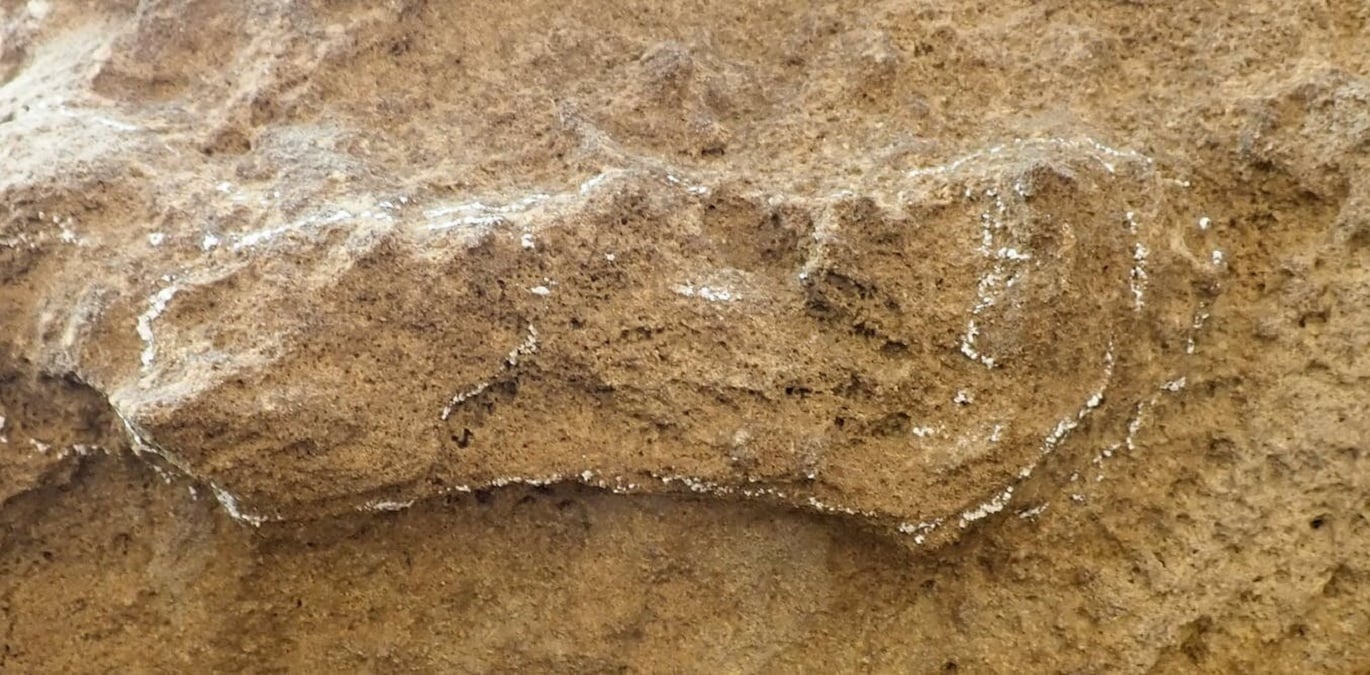 Scientists discover the oldest homo sapien footprint, reshaping human ...