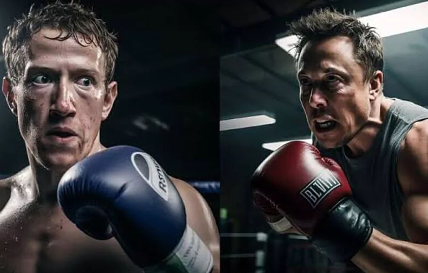 Mark Zuckerberg vs Elon Musk cage fight now in doubt as exclusive audio ...