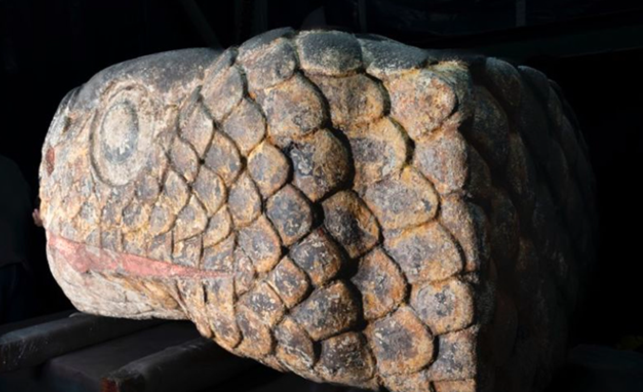 Scientists discover massive snake head after Mexico City earthquake