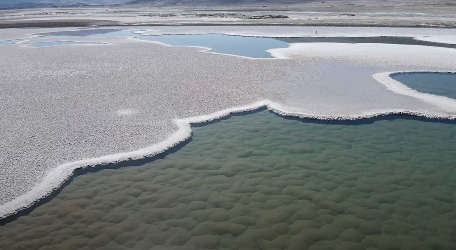 Scientists discover window back in time to life on Earth 3.5 billion ...