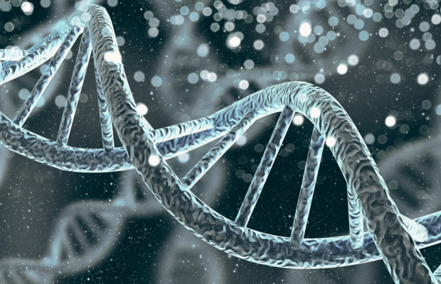 Scientists say they can now turn genes on and off like a light switch