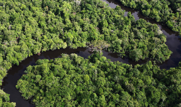 Scientists issue dire warning for the Amazon rainforest