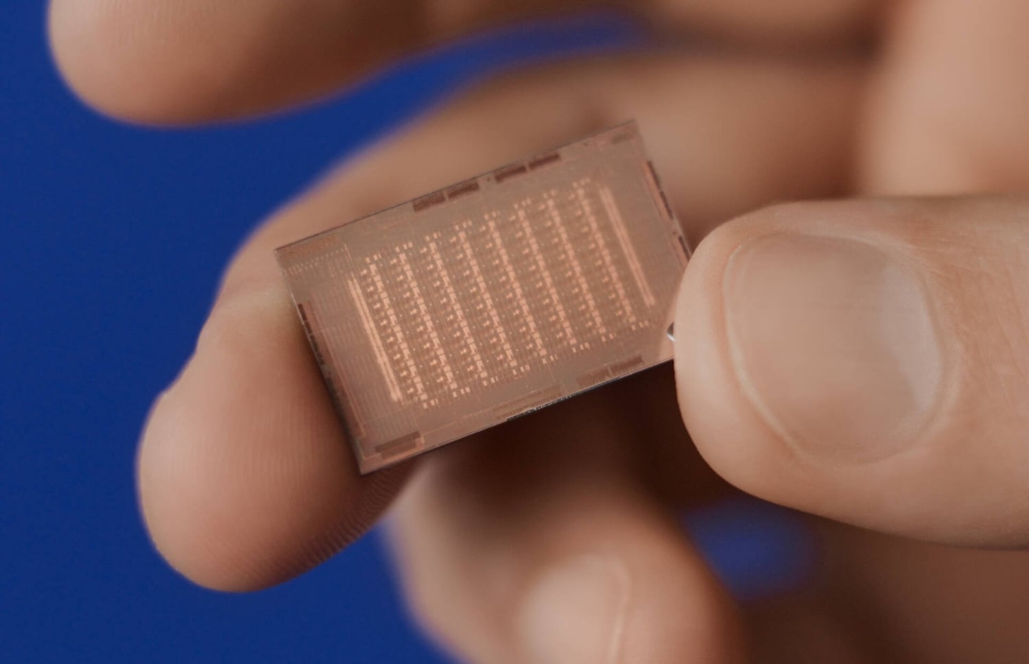 Meta's next-gen in-house AI chip is made on TSMC's 5nm process, with ...