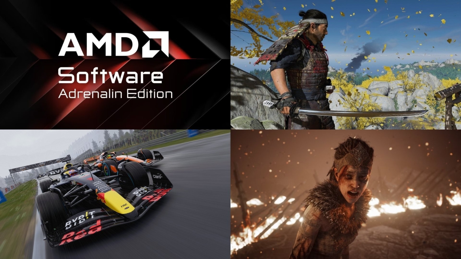 AMD Adrenalin 24.5.1 Driver for Radeon GPUs adds support for Ghost of ...