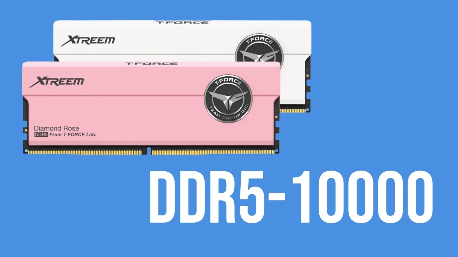 T-FORCE XTREEM DDR5-10000 memory will 'push the limits' at Computex 2024