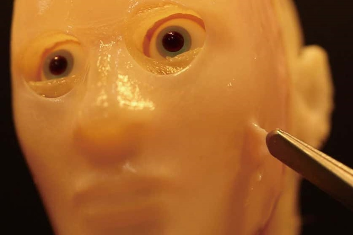 Robot with living human skin glimpses into the bleak reality of mortality